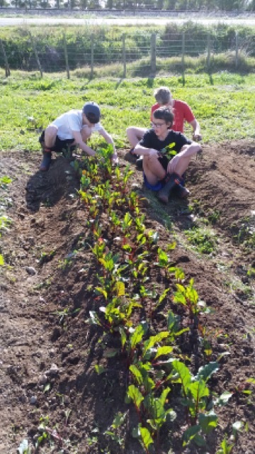 Gallery | PCTI New Zealand