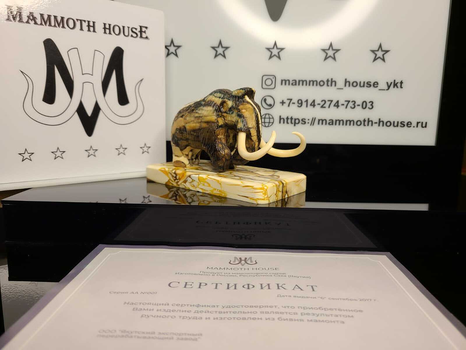 Статуэтка "Мамонт" - Mammoth housE
