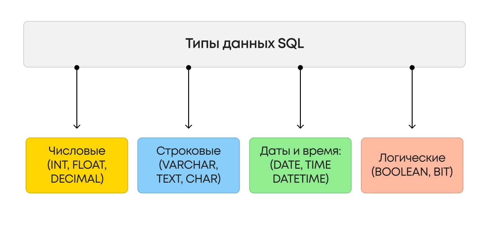 Типы данных в SQL: виды, классификация, хранение и преобразование