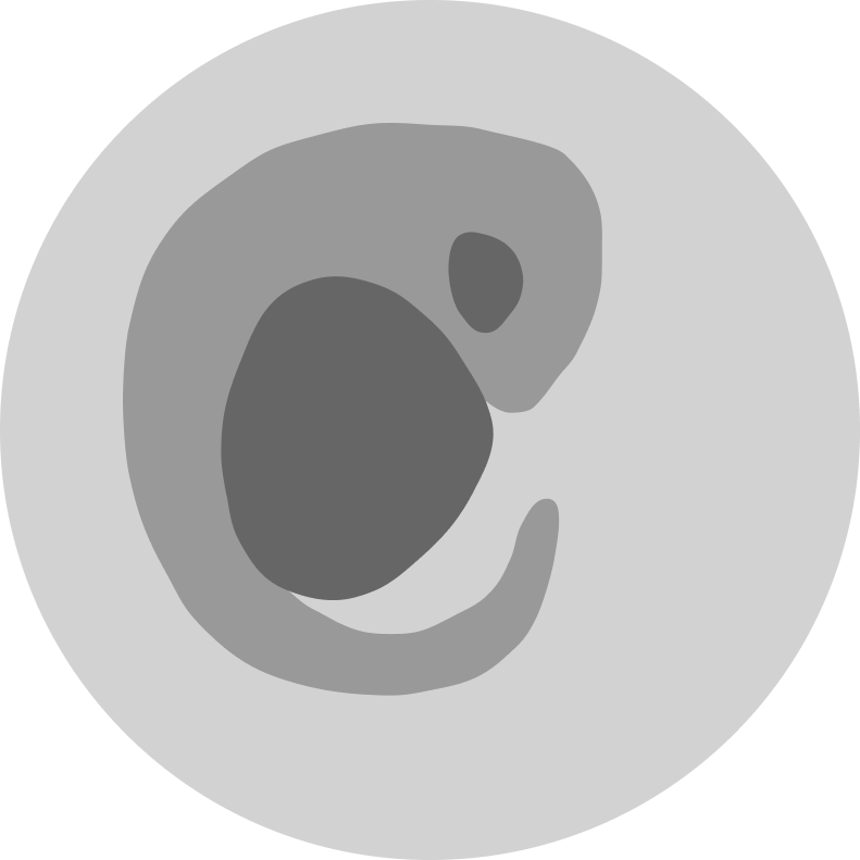 EmbryoNet AI Technologies