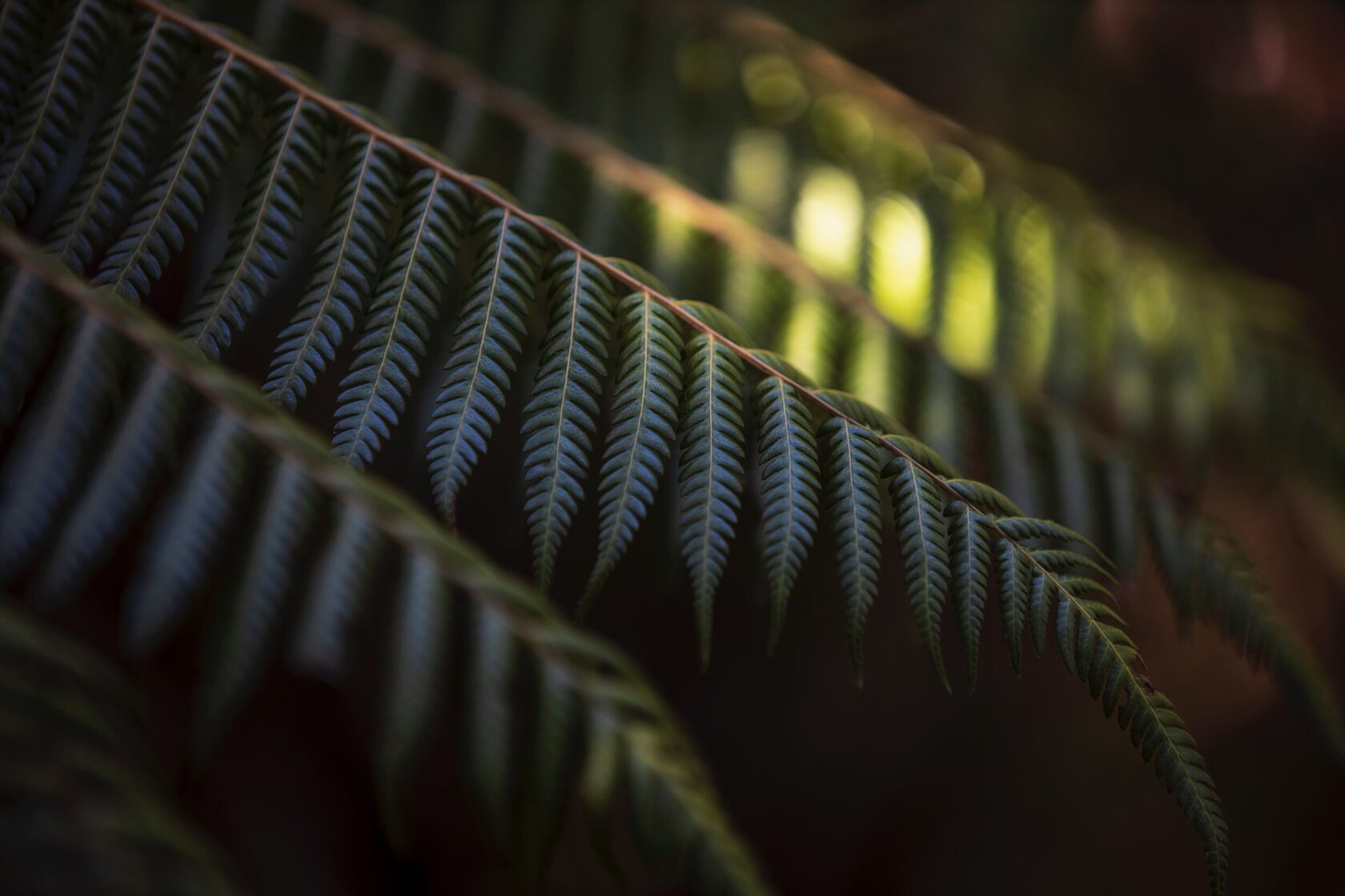 Glen’s Speed-Pitch Guide