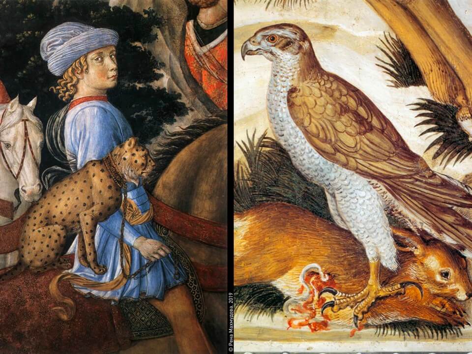 Козимо Медичи: искусство власти