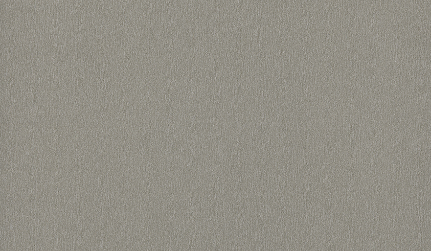 Egger F502 ST2 Алюминий мелкоматированный