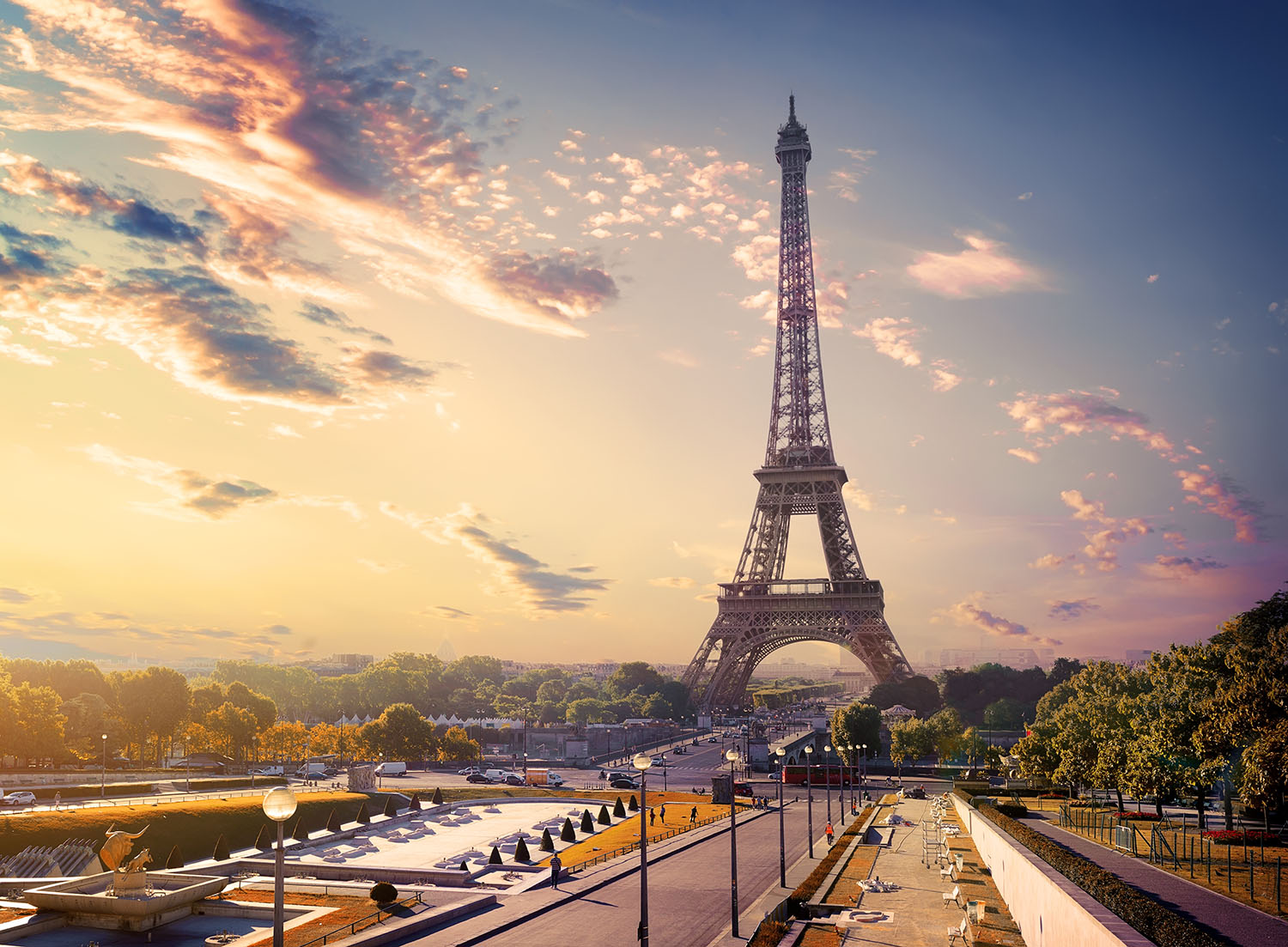 Endo Sapiens 2024 by Domenico Ricucci in Paris