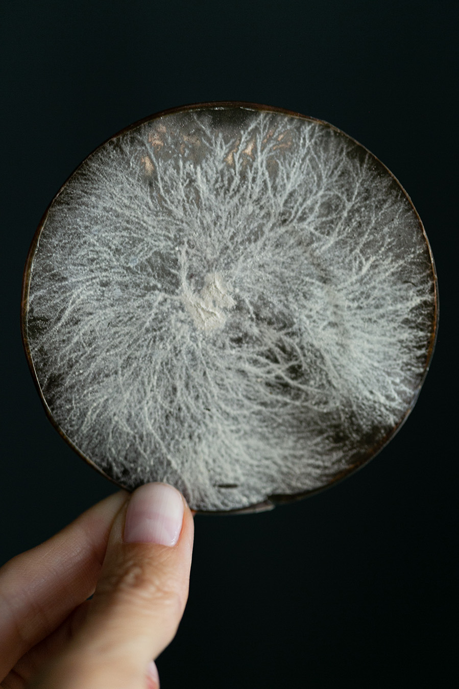 Статьи | farming utopia