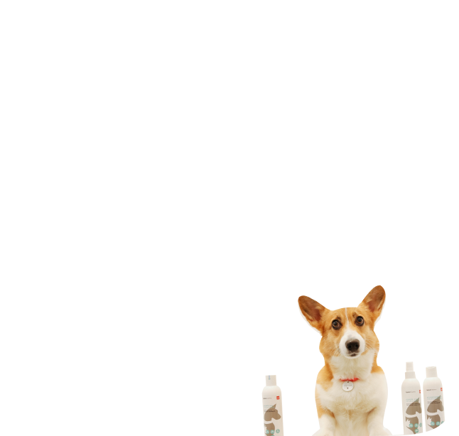 Agree's For Pets