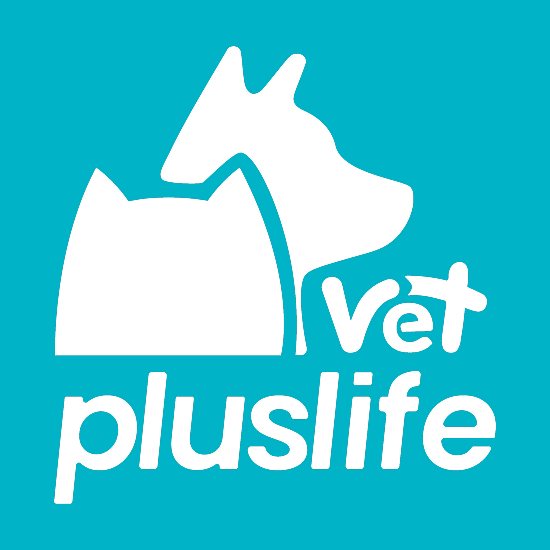 PlusLife Mini Dock для врачей