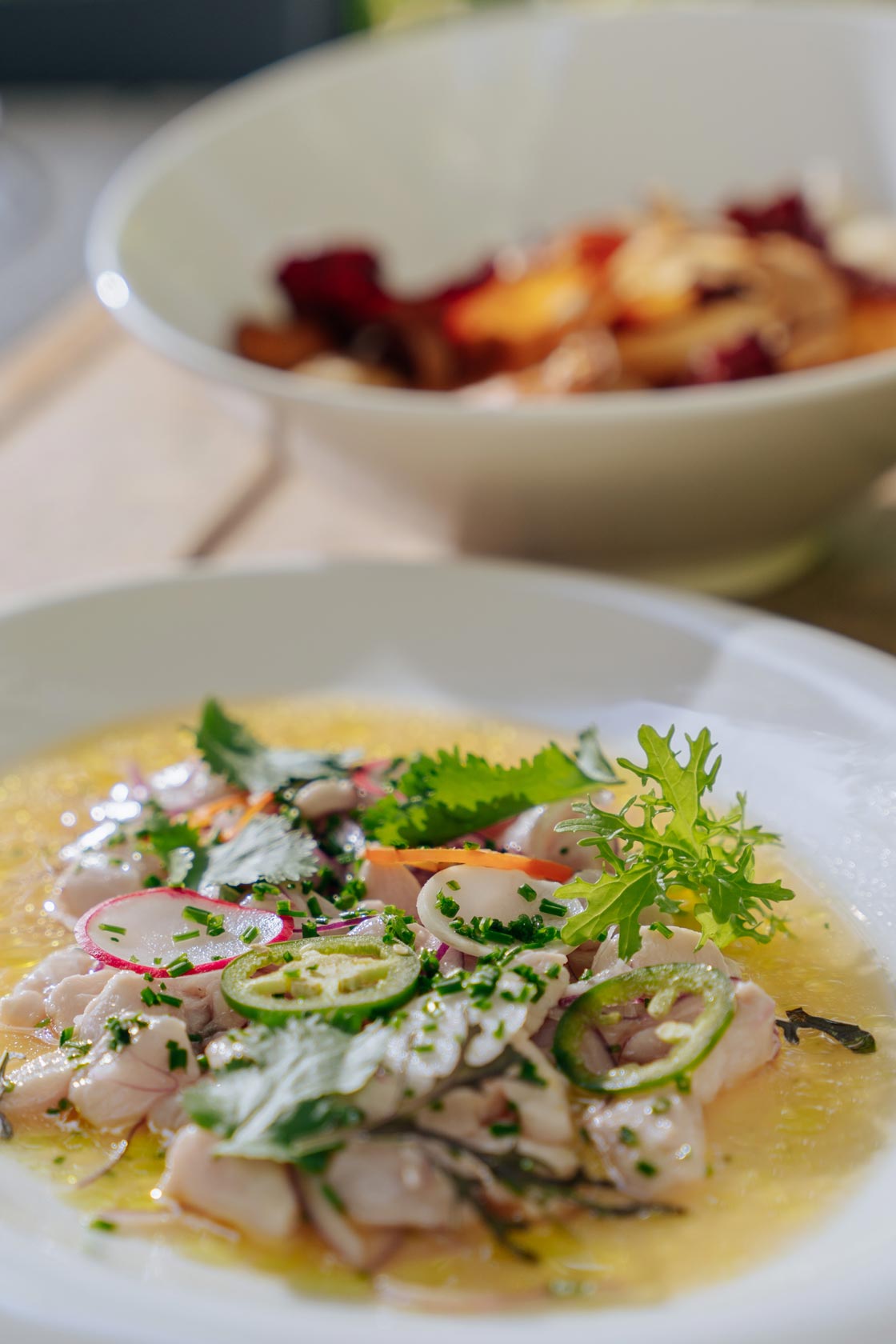Arbol Restaurant Gallery - Discover Manuel Antonio's Culinary Gem in ...