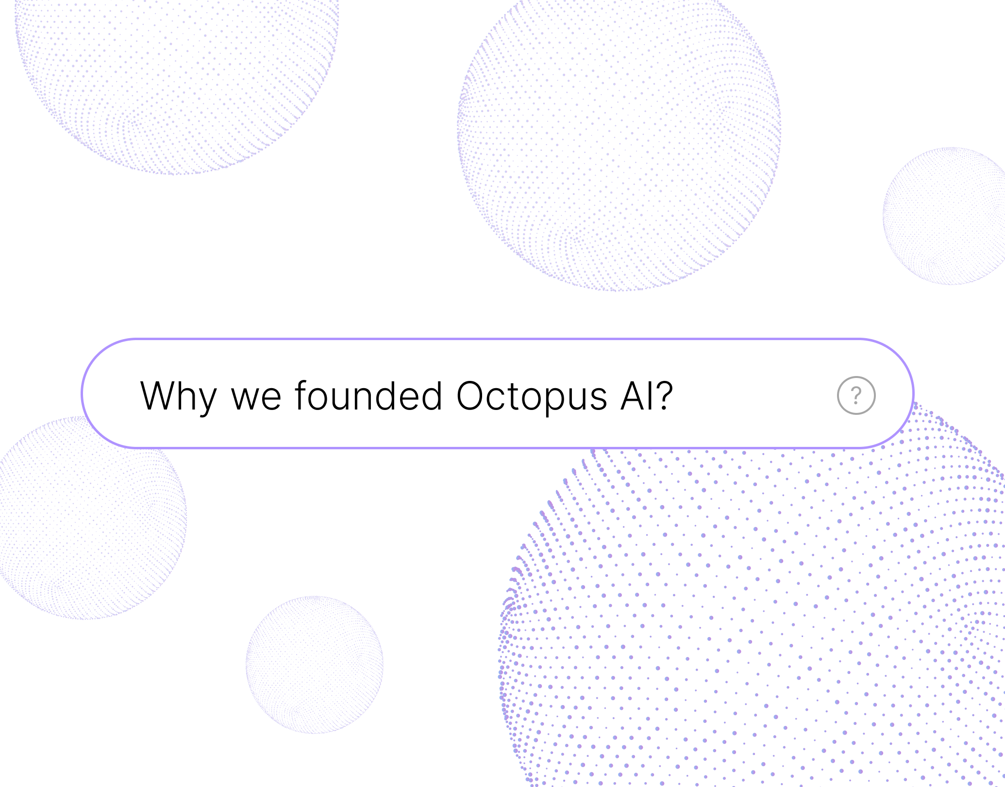 Why We Founded Octopus AI?