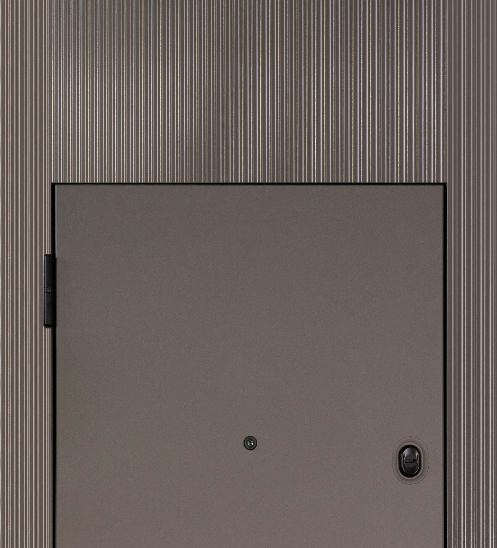 Стальная линия | Входные двери премиум-класса