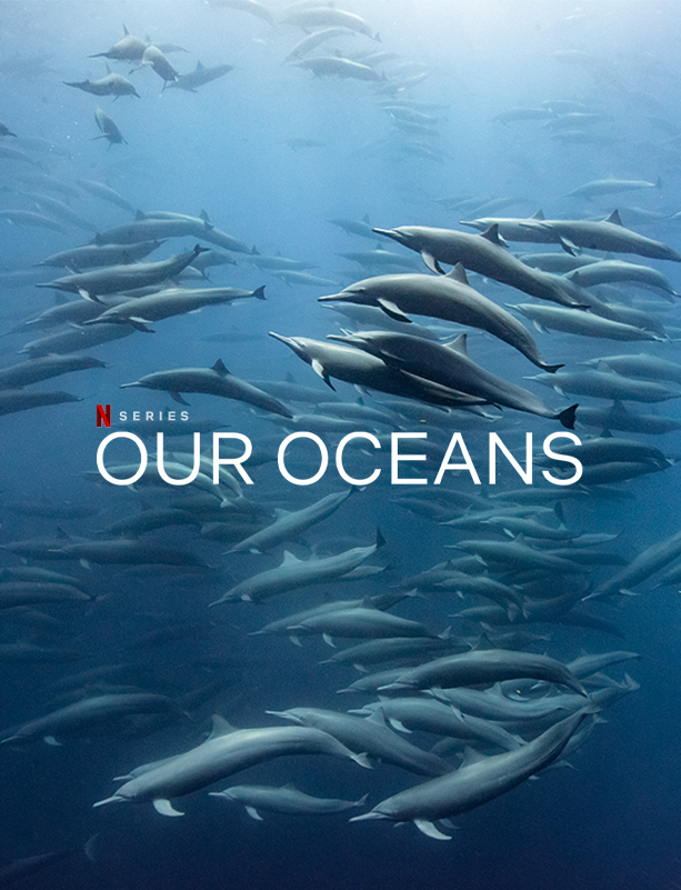 Timelab Production footage EN