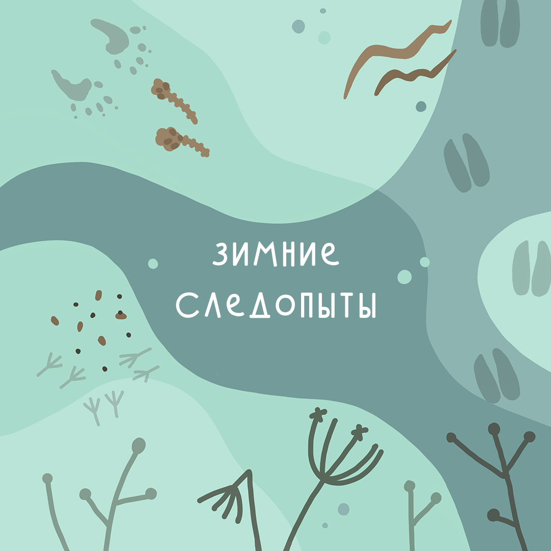 Программа Зимние следопыты