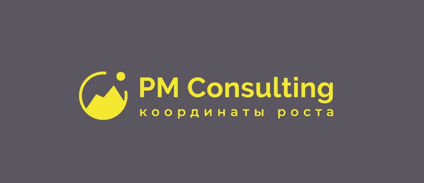 PM Consulting Main
