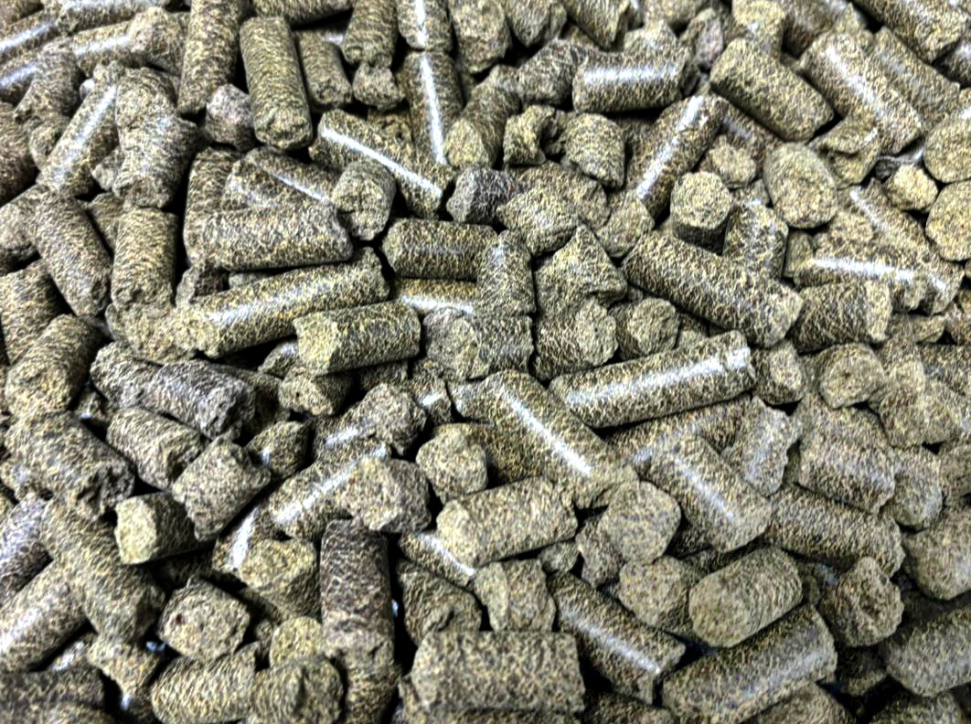 Сибирская Олива | Рапсовое масло и рапсовый жмых