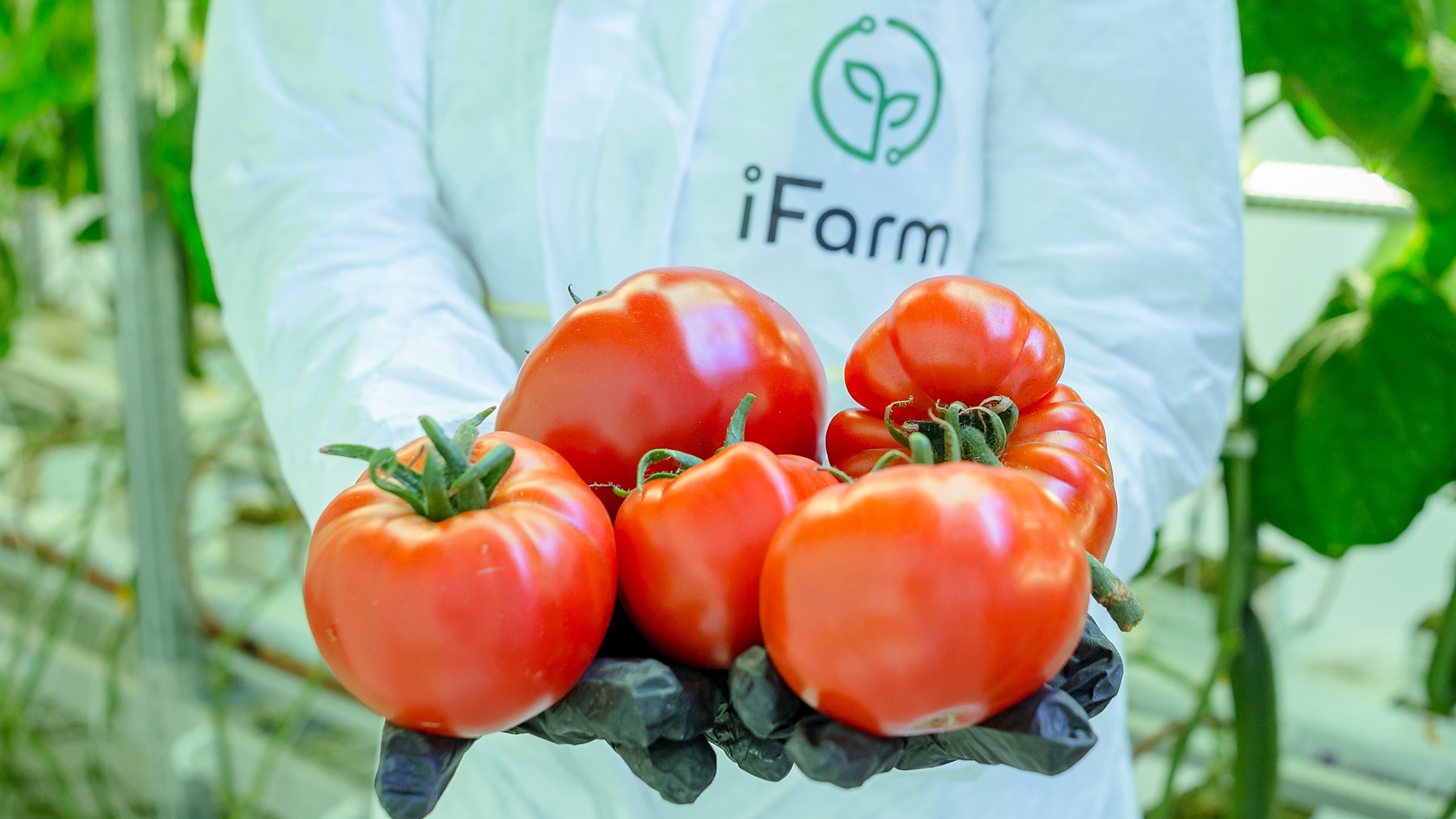 Grow Veggies with Vertical Farming Technologies by iFarm