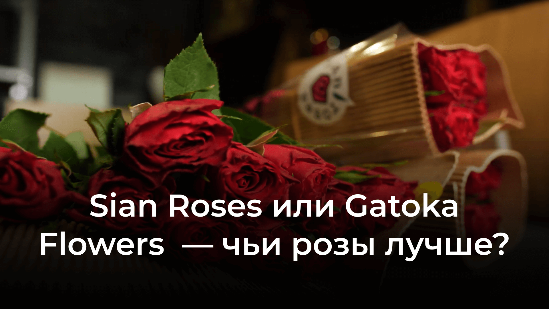 Sian Roses & Gatoka Flowers: обзор-сравнение красных роз от кенийских ...