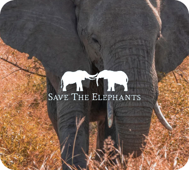 Save the Elephants