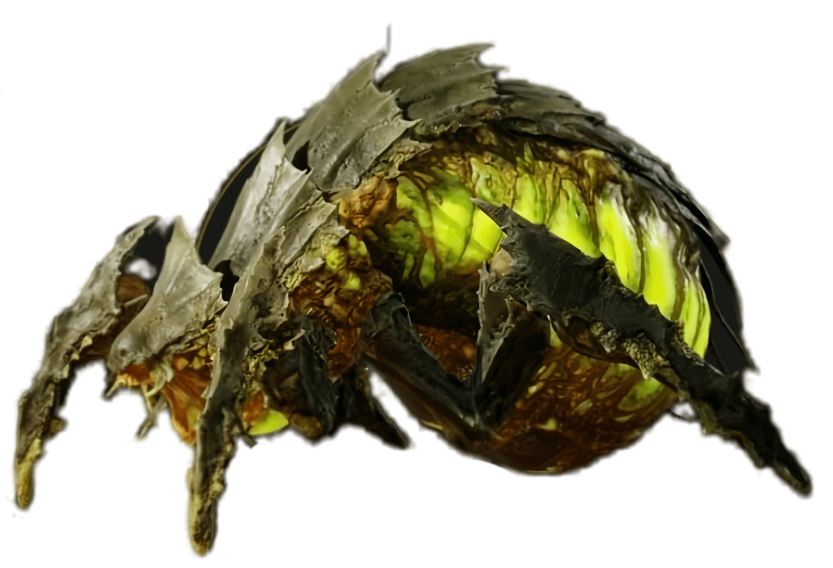 Helldivers 2 Helldivers 2