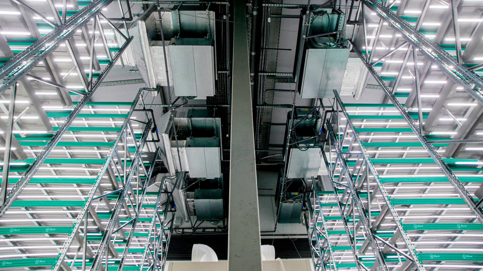 Vertical farming costs (2023 setup and operating costs)