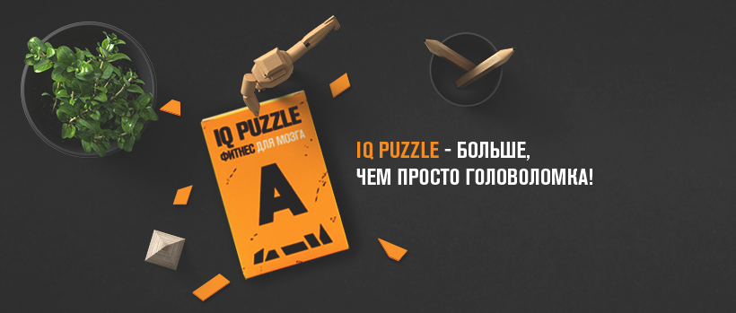 Головоломки GEEK Puzzle - Фитнес для мозга