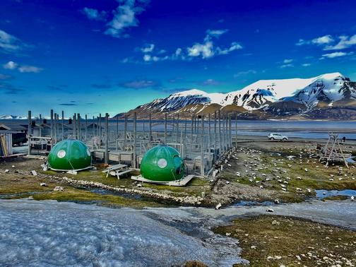 Birdwatching shelter