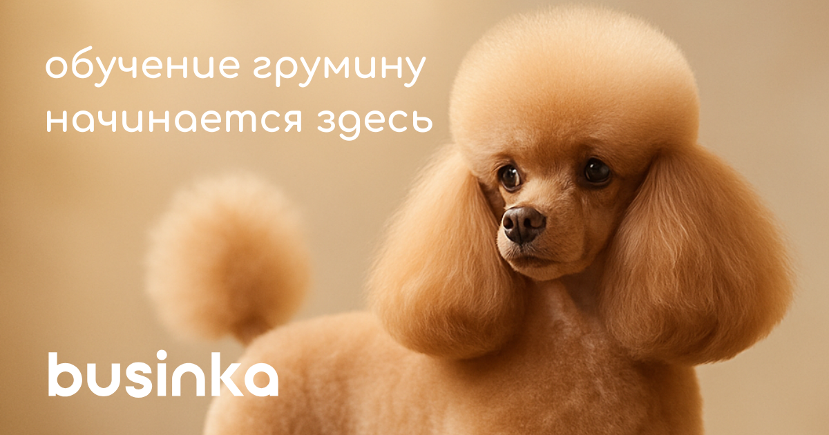 Школа груминга от Businka. Обучение грумингу и мастер-классы | Москва