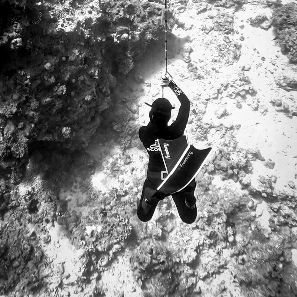Professional Freediving Training in Sharm El Sheikh | Apnetica