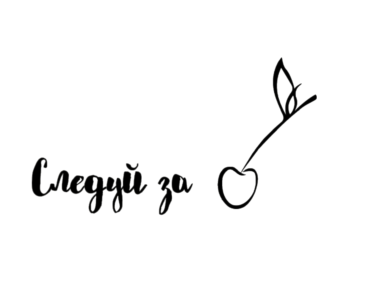 Каталог торты