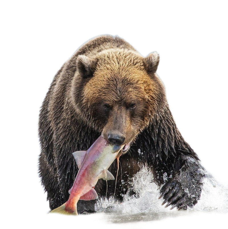 УстьКамТур- авторские туры на Камчатку с комфортом и душой