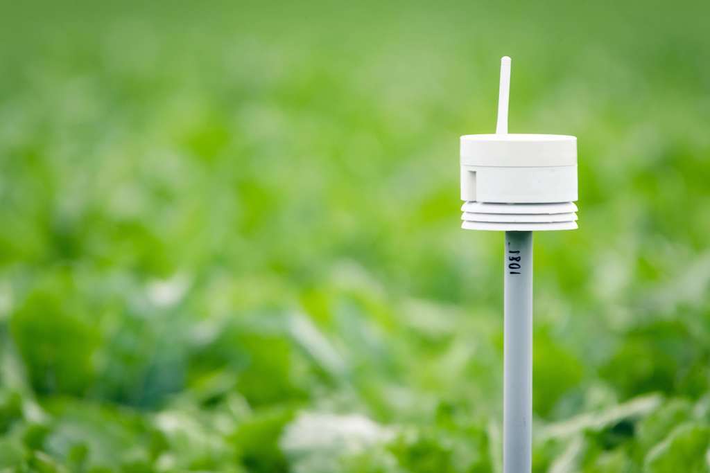 How to Monitor Soil Humidity and Temperature with the OneSoil Weather ...