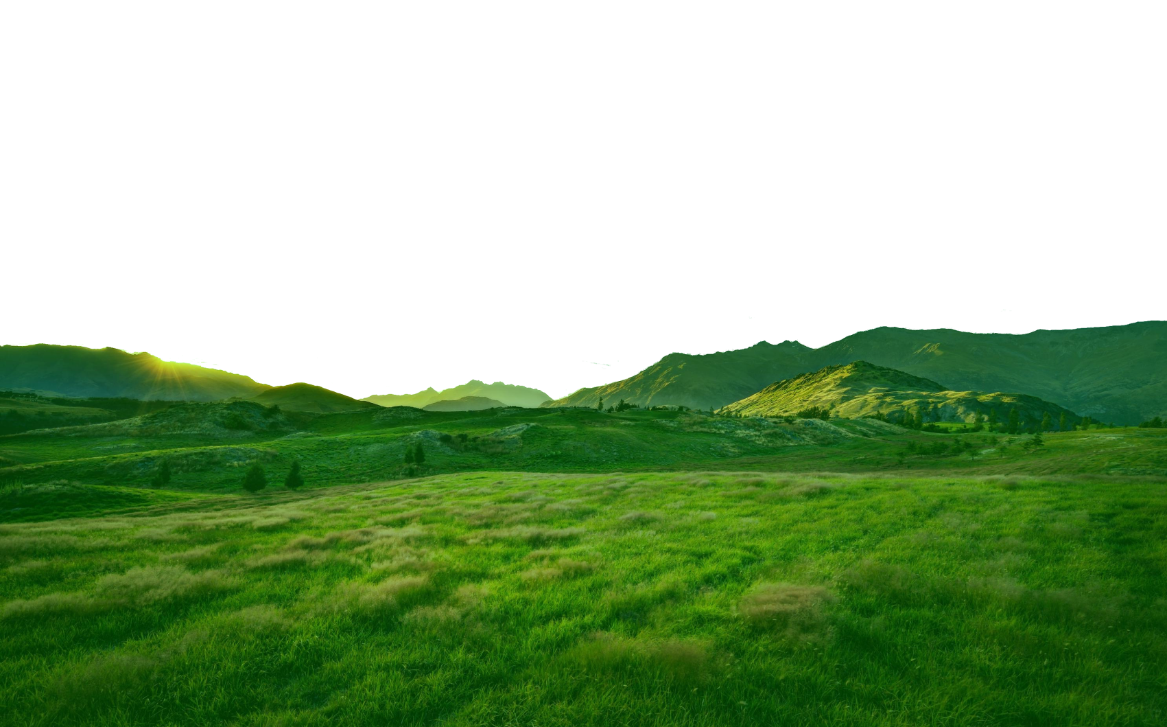 Lider w zakupie i sprzedaży produktów rolnych | biograin