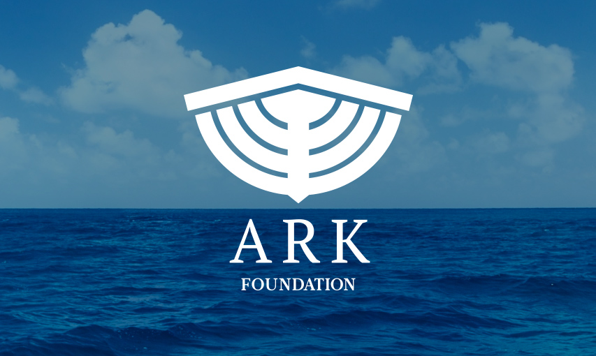 Ark Foundation | Фонд Ковчег