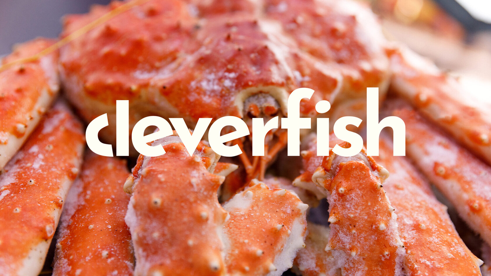 Айдентика магазина рыбы и морепродуктов Cleverfish