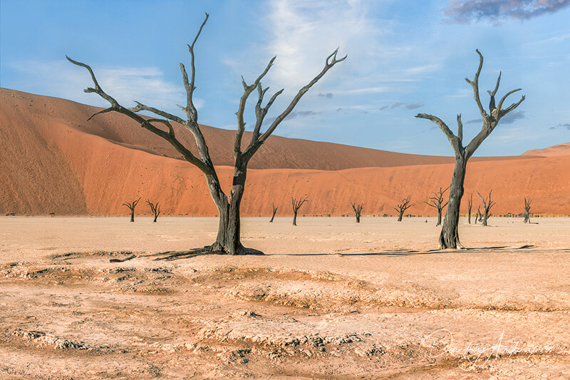 Namibia photo tour 2024 announcement