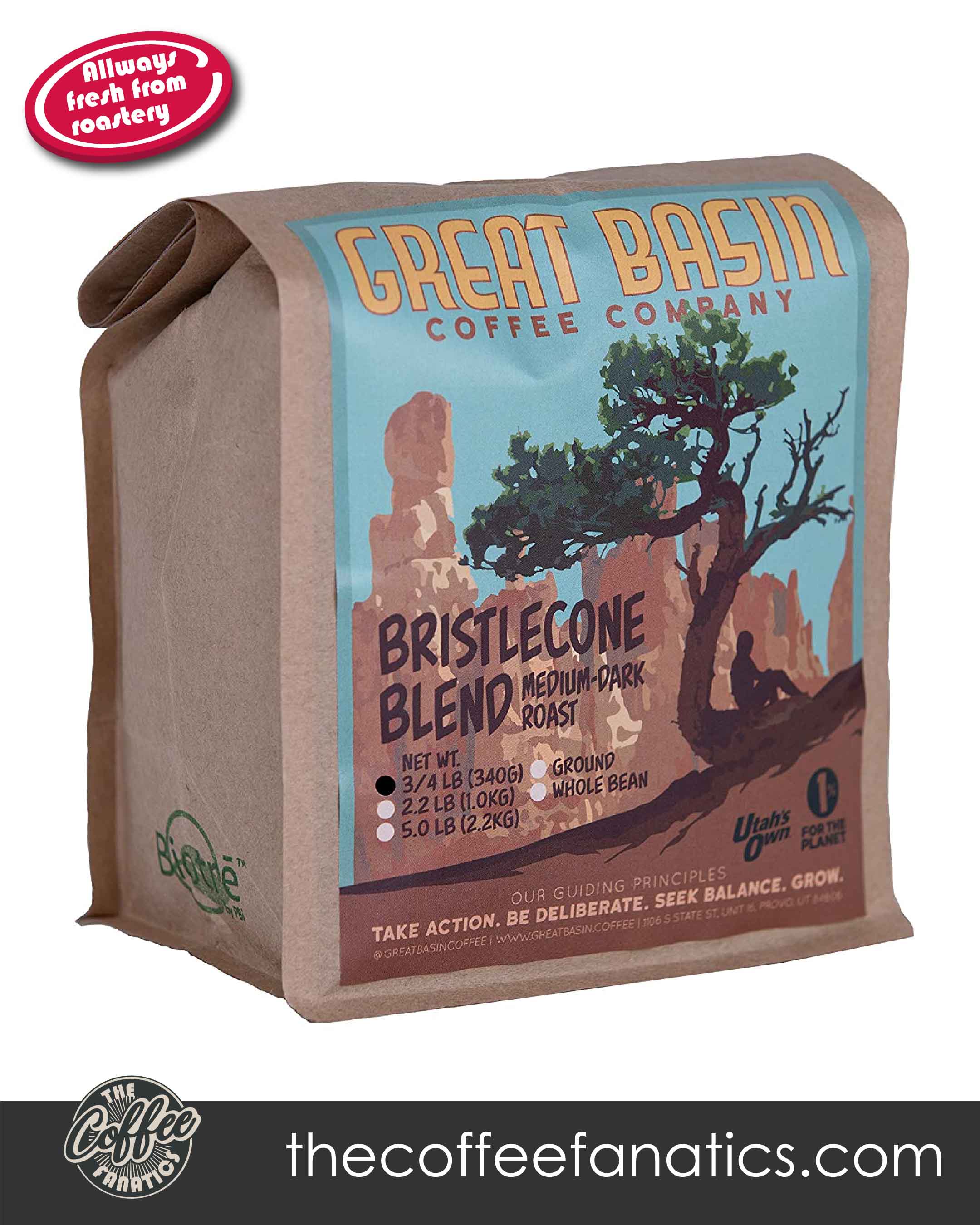 How to Use a French Press Coffee Maker