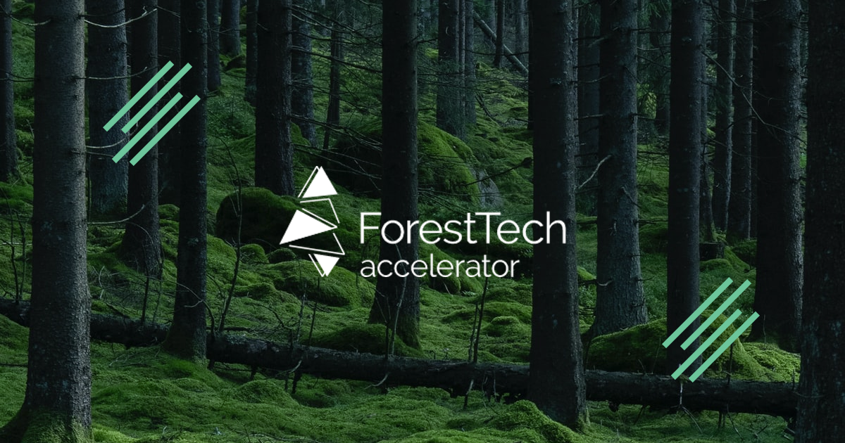 ForestTech accelerator