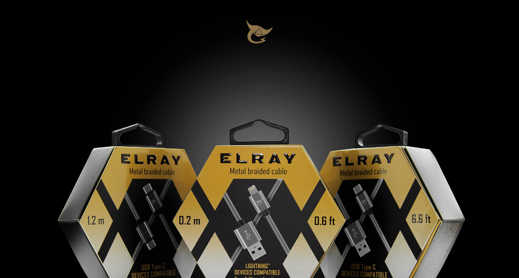 Фирменный стиль ELRAY