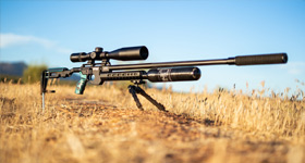 Pest Control with PCP Air Rifles: Effectively Managing Rodent Problems