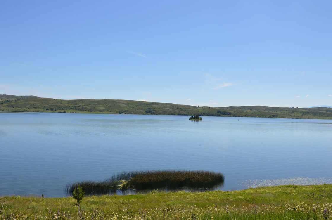 Галерея