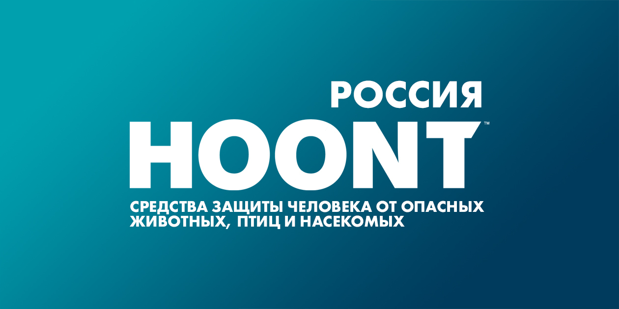 HOONT - Официальный сайт