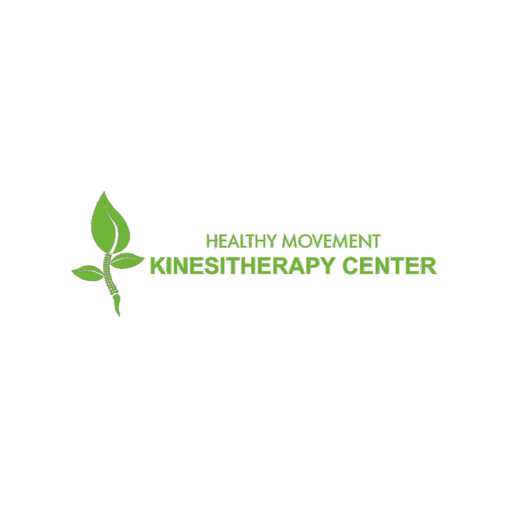 Healthy Movement Kinesitherapy Center