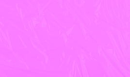 Limón Loco - un parque de actividades para toda la familia