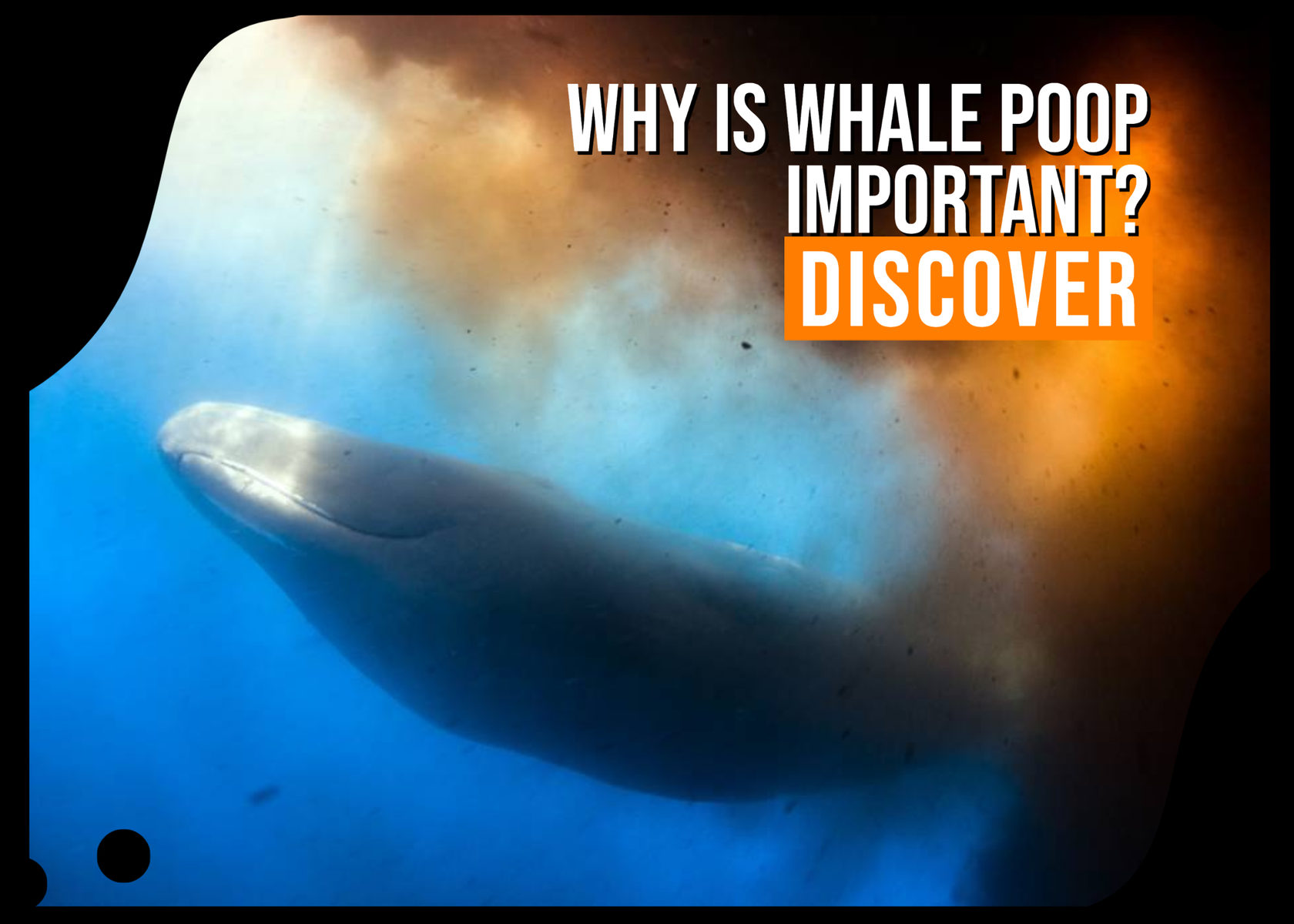 The Remarkablz - Free Resources