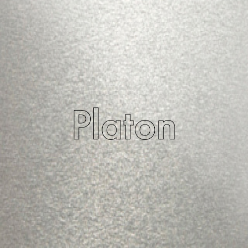 Platon Construction - Потолки Грильято
