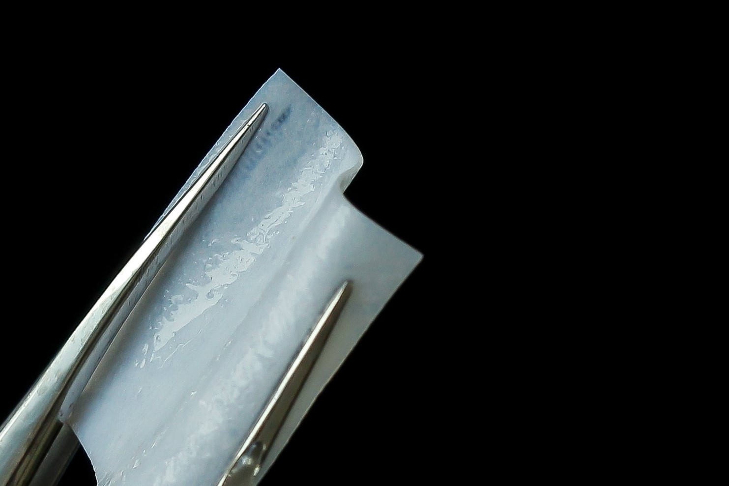 bioPLATE Barrier membrane