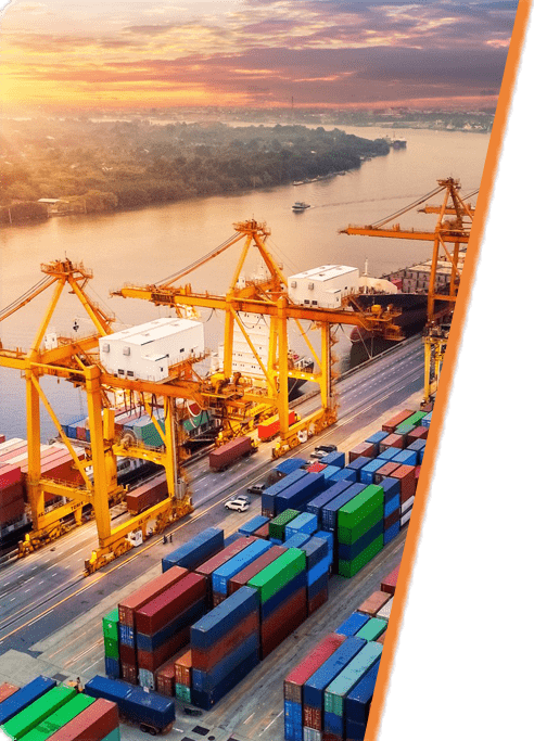 FoxCarriers | Your reliable logistics partner