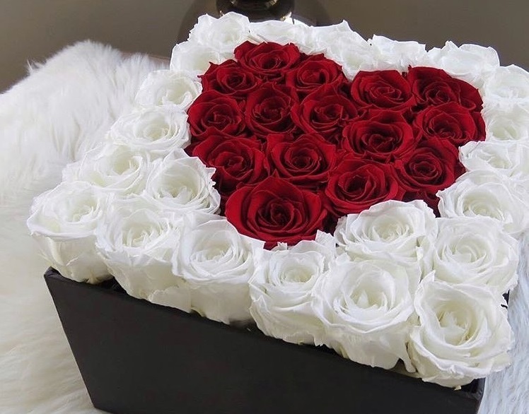 Rose Bear UK - Official Rose Bear in UK