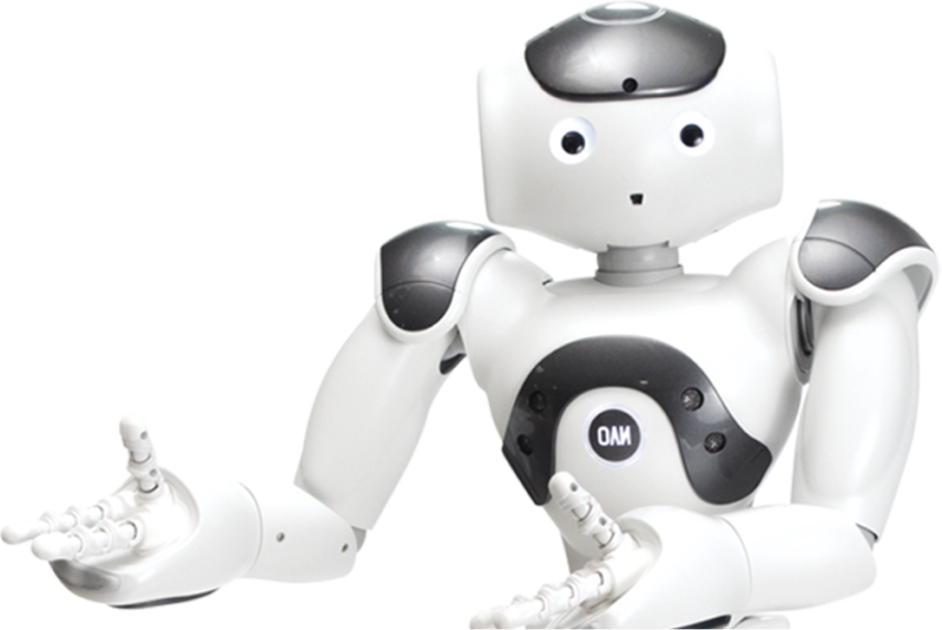 NAO - The Multipurpose Robot