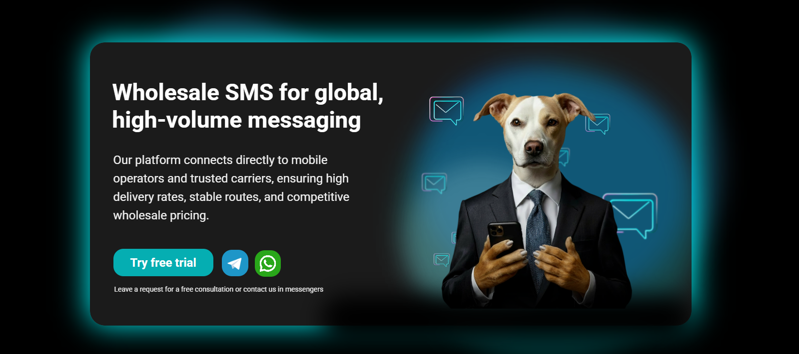 Wholesale SMS routes| Mamonty
