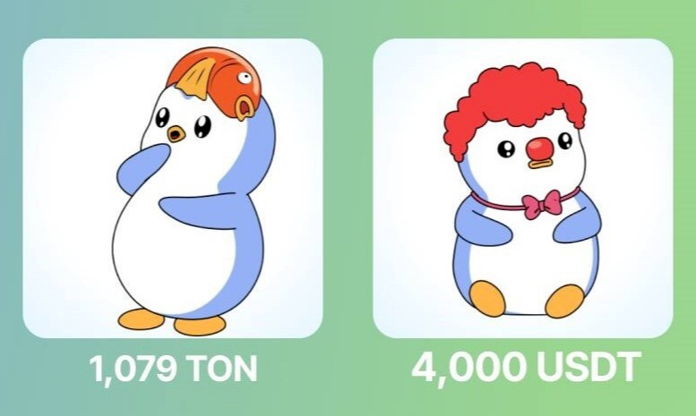 Pudgy Penguins | Fan Content, Latest News & Updates